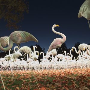 Ramandu's Table on Cuseum