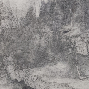 Dog Watching - Crop #2 by Steven Barbash on Cuseum