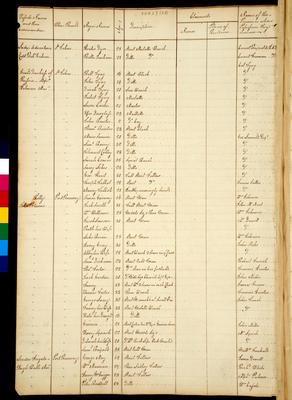 Black Loyalists Log Book on Cuseum