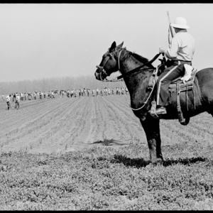 Various Works by Keith Calhoun & Chandra McCormick on Cuseum