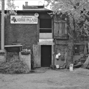 Horse Palace on Cuseum