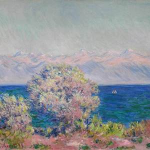 size test monet by test on Cuseum