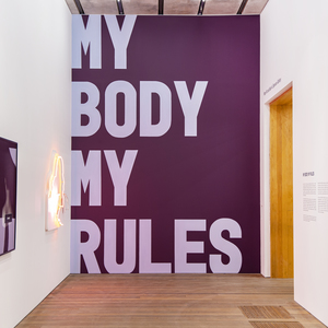 My Body My Rules Wall Text Info on Cuseum