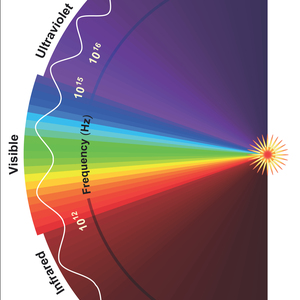 Ishihara Color Test on Cuseum