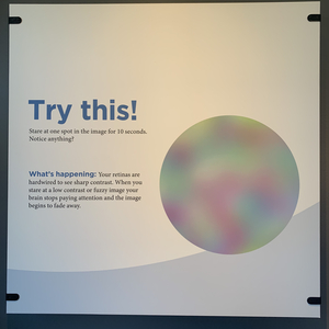 7. Muestra Interactiva Desvanecimiento de Troxler on Cuseum