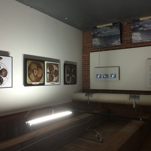 Andrew Neumann on Cuseum