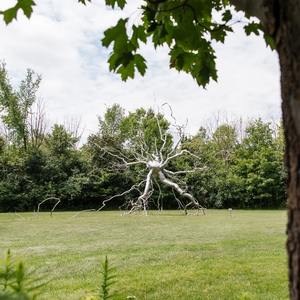 Neuron by Roxy Paine on Cuseum